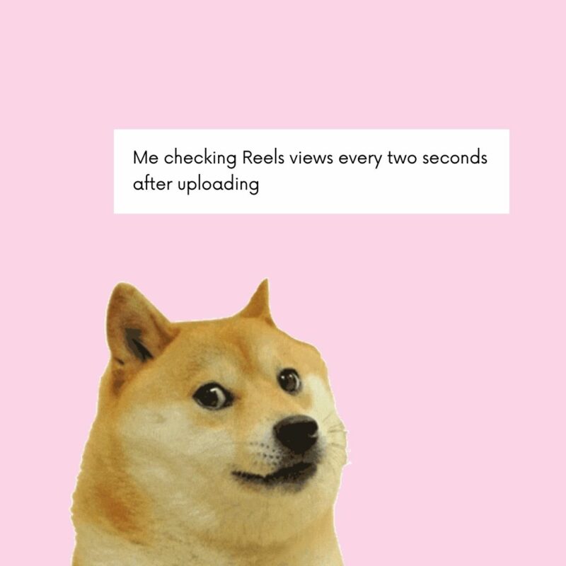 Instagram Memes + Gifs Template Pack 2.0 - My Social Boutique